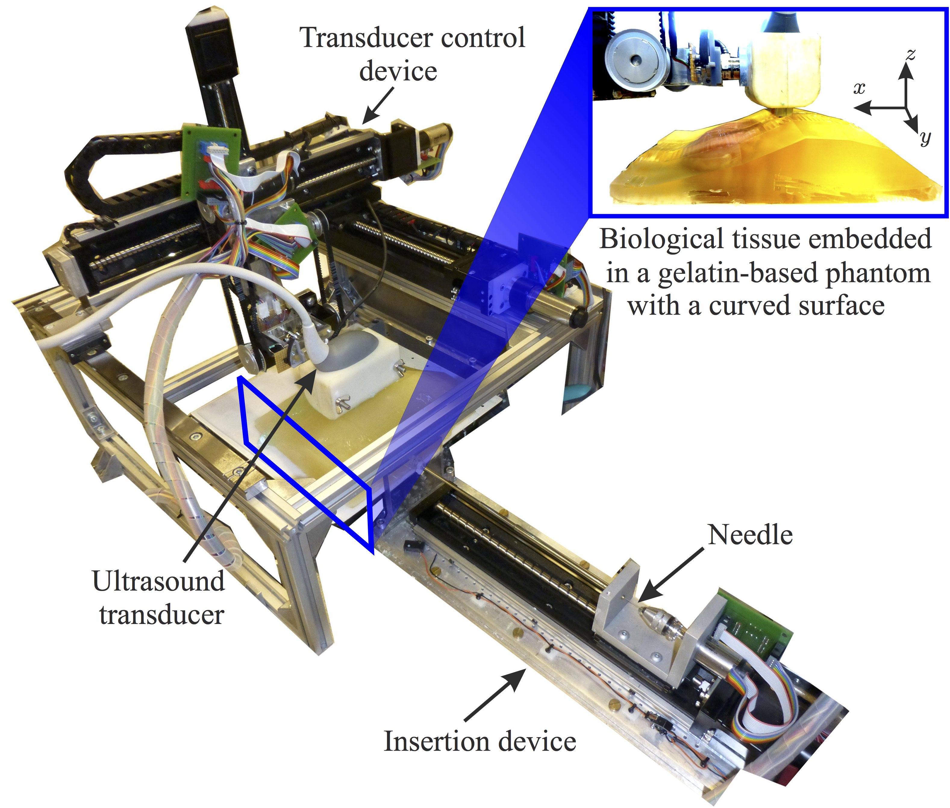 Ultrasound-guided three-dimensional needle steering in biological ...