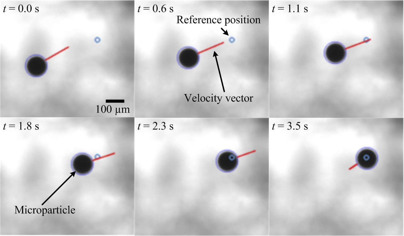Magnetic-based motion control of paramagnetic microparticles with ...