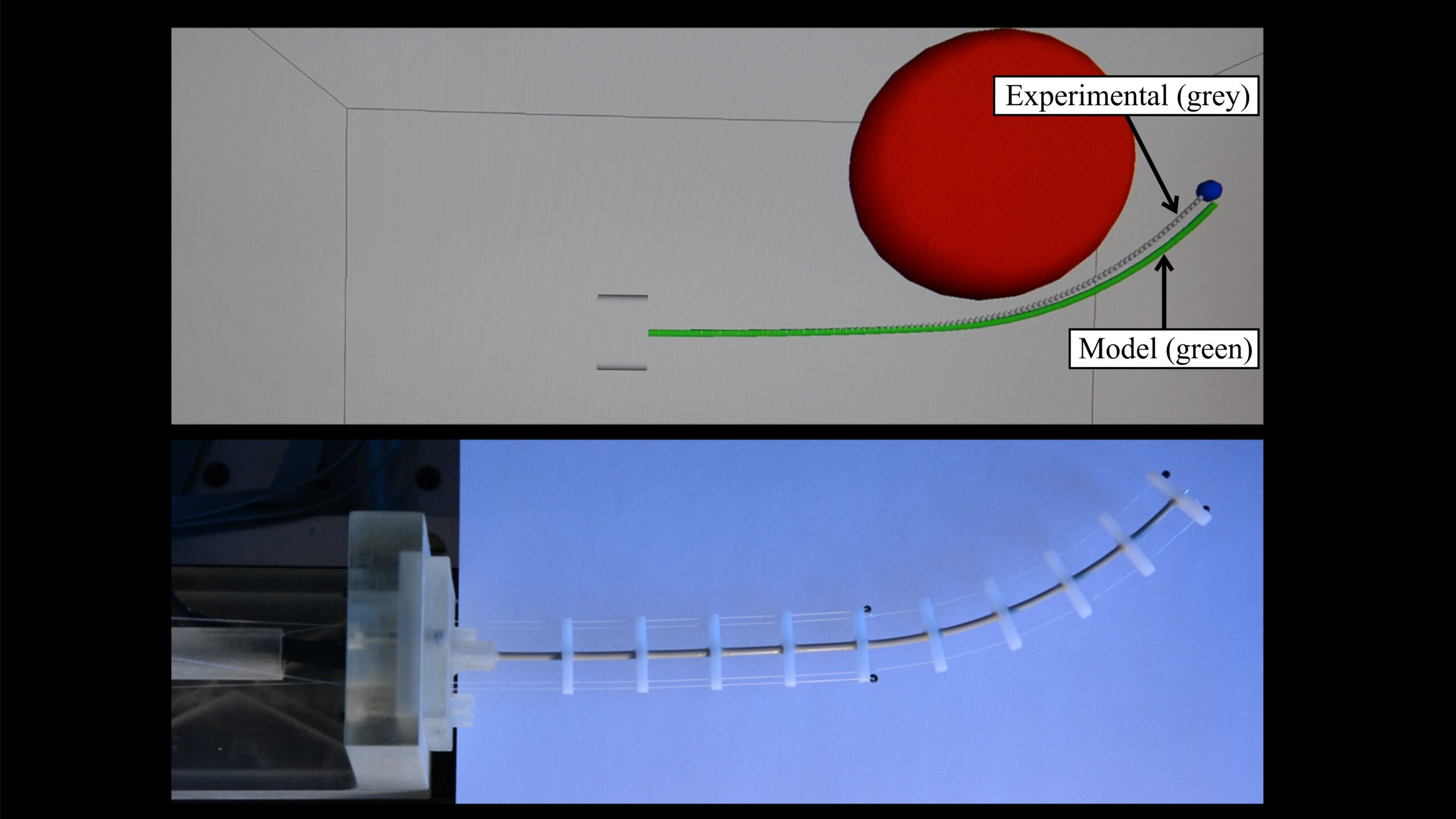 Real-time shape sensing for flexible instruments - Surgical Robotics Lab