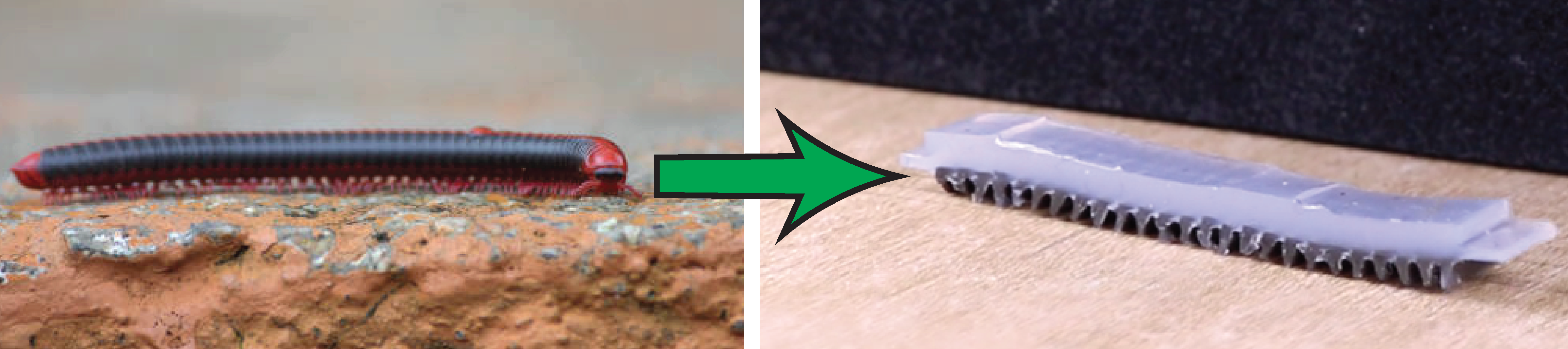 Bio-inspired terrestrial motion of magnetic soft millirobots - Surgical ...