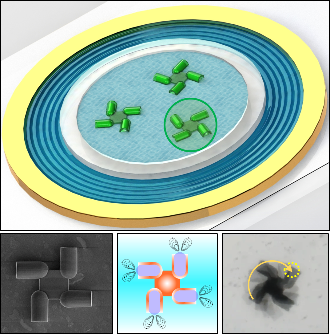 Acoustically-actuated bubble-powered rotational micro-propeller ...