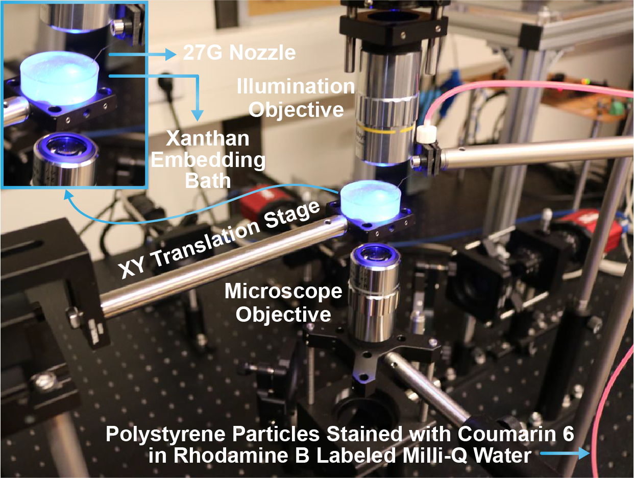 Embedded 3d Printing Of Dilute Particle Suspensions Into Dense Complex