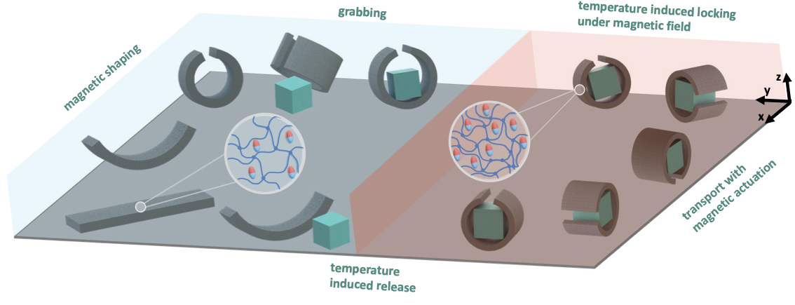 Minimally Designed Thermo Magnetic Dual Responsive Soft Robots For Complex Applications