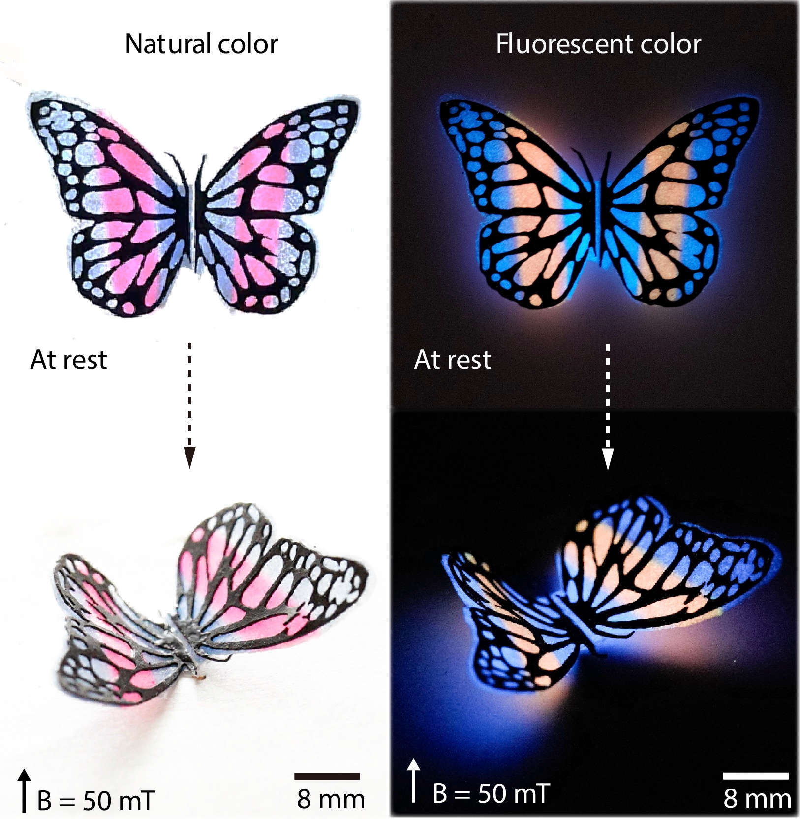 Multi Layer Screen Printing Of Magnetic Soft Robots With Integrated Materials And Functions
